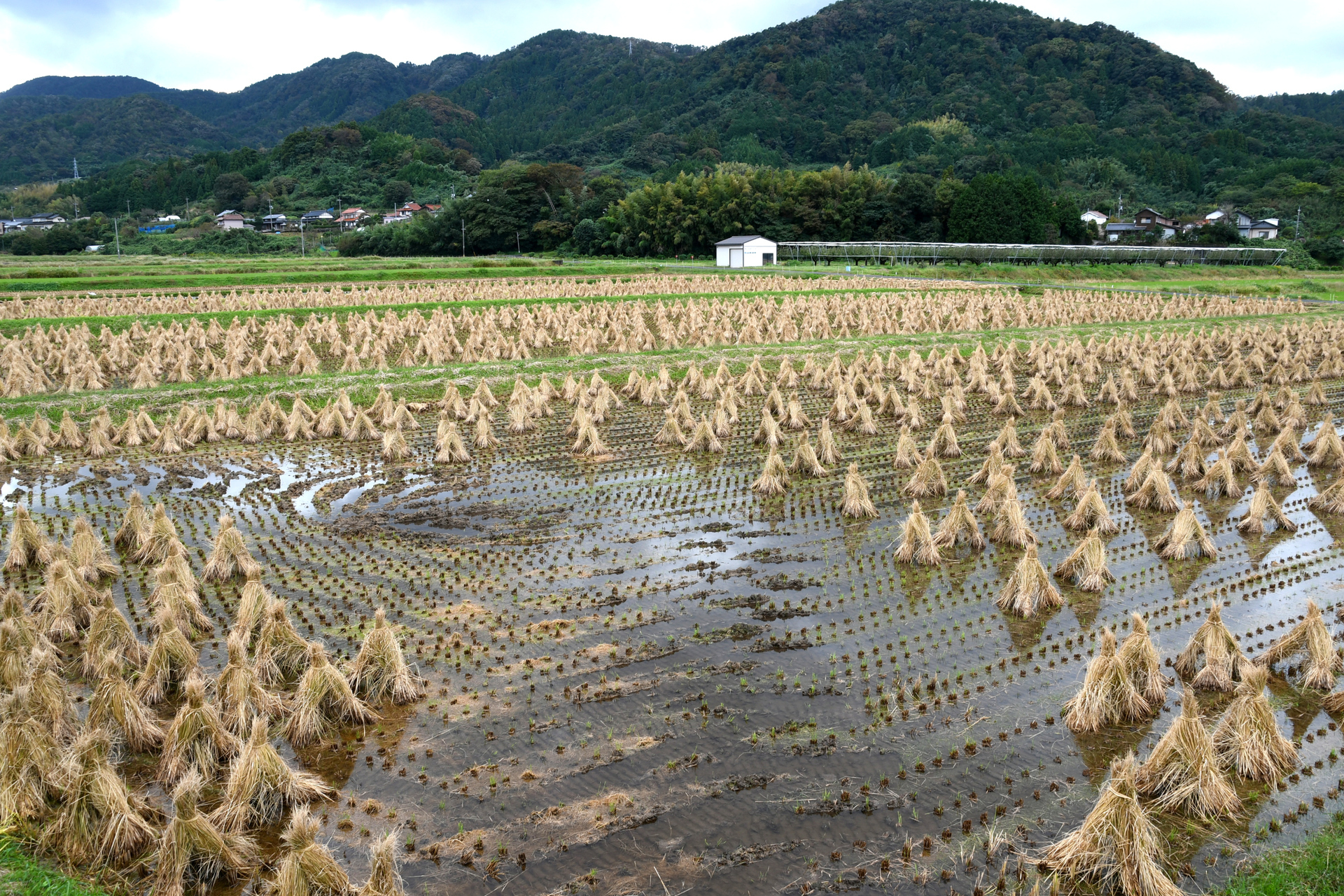 湯治（4）その2/～三朝着～: ぶろぐり007Ⅱ